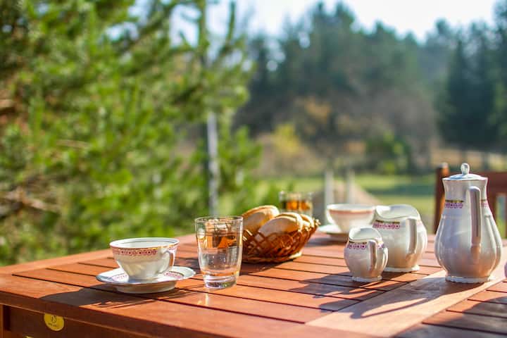 Tisa Holiday Home - Croatia