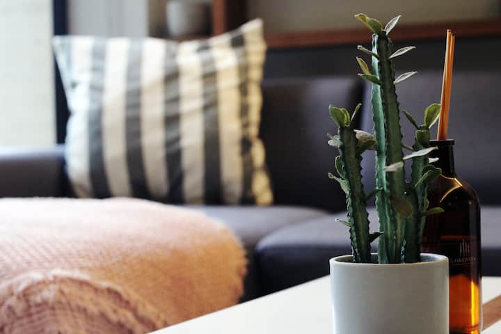Design Studio In Roma Norte | Walk Everywhere - Mexiko-Stadt