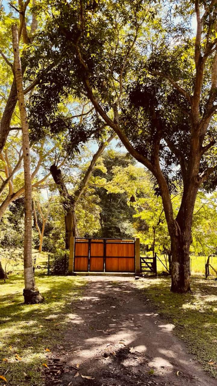 12 Casa Finca Montaraz - Honda