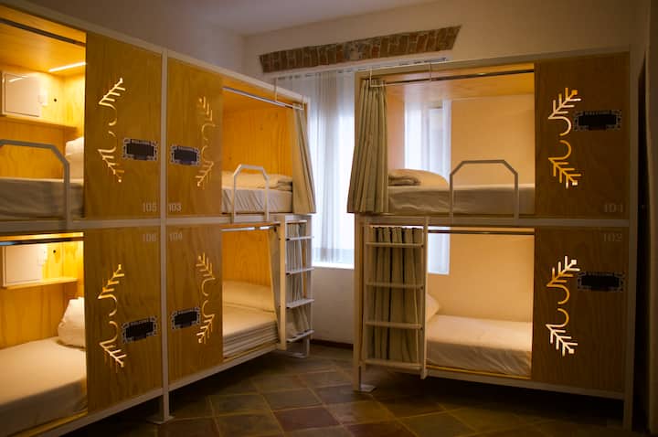 Accommodation In Puebla Bed In 6-bed Mixed Dorm - Puebla