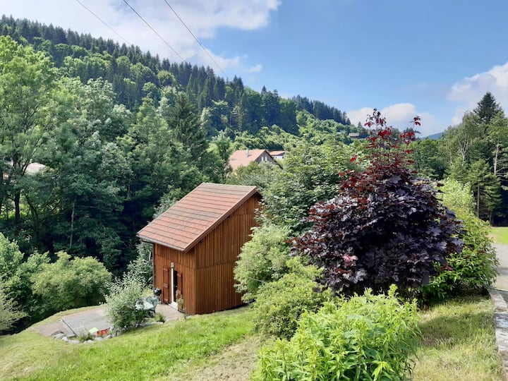 Pré Ferry - Gîte Au Coeur De La Nature - Gérardmer