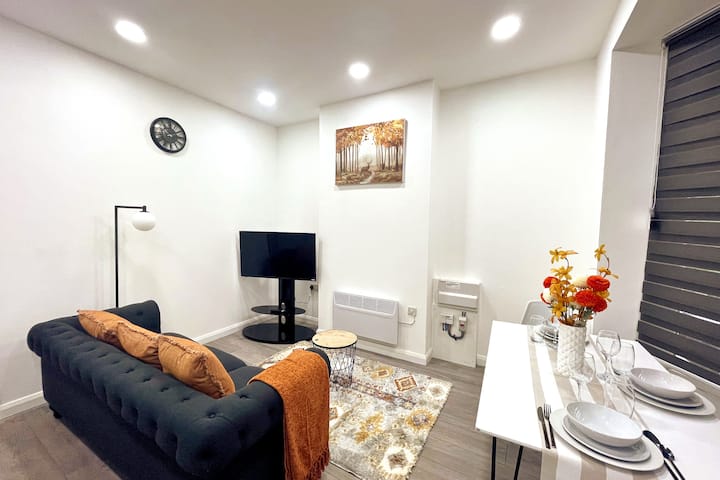 Entire 2 Bedroom Flat Leicester Dmu - Lt Flat 2 - Leicester Castle
