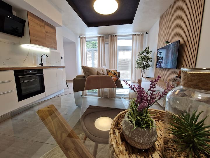 Deluxe Apartment Center Rogaska - Rogaška Slatina