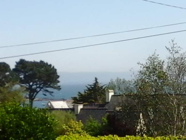 Maison En Bord De Mer, Plage à 200 M, Sur Jardin - Plouguerneau