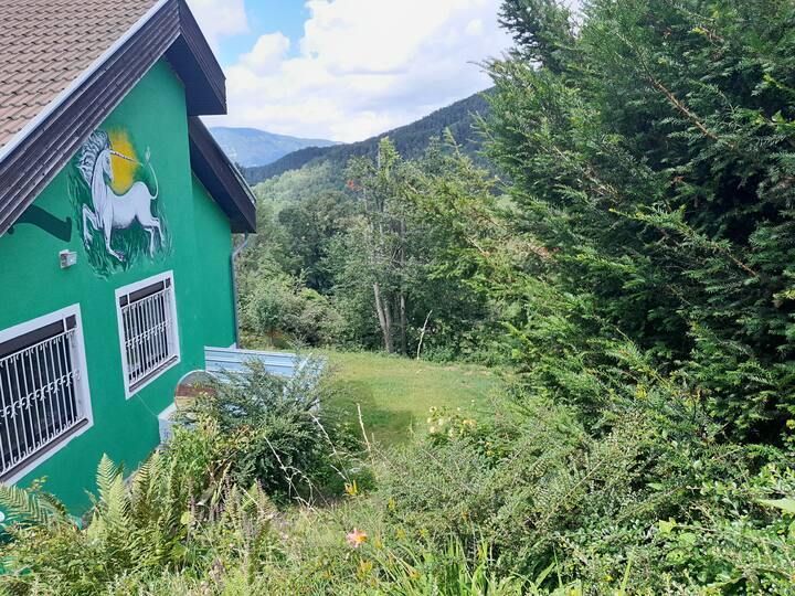 Einzelzimmer Einhornhaus In Den Bergen - Semmering