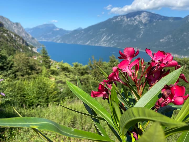Un Balcone Sul Garda - Limone Sul Garda