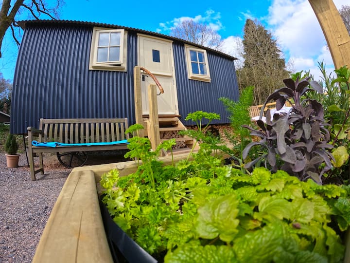 Anne's Hatch Hut - United Kingdom