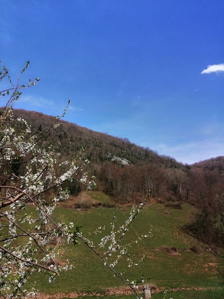A L'arize Chez Paouline - Lannemezan
