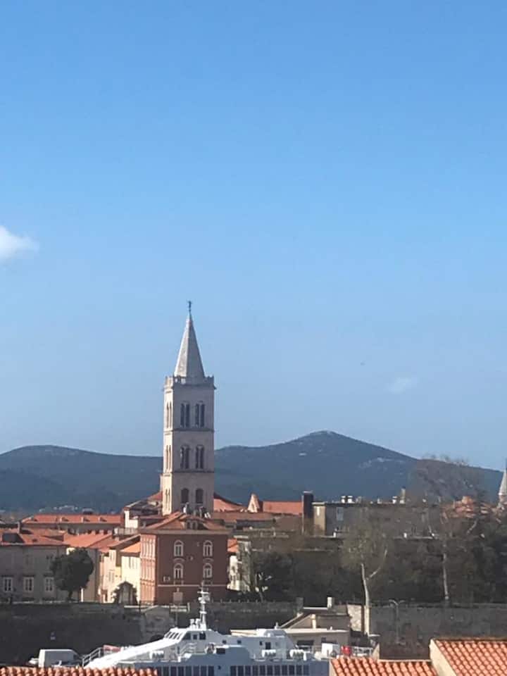 Lady Diana - Zadar