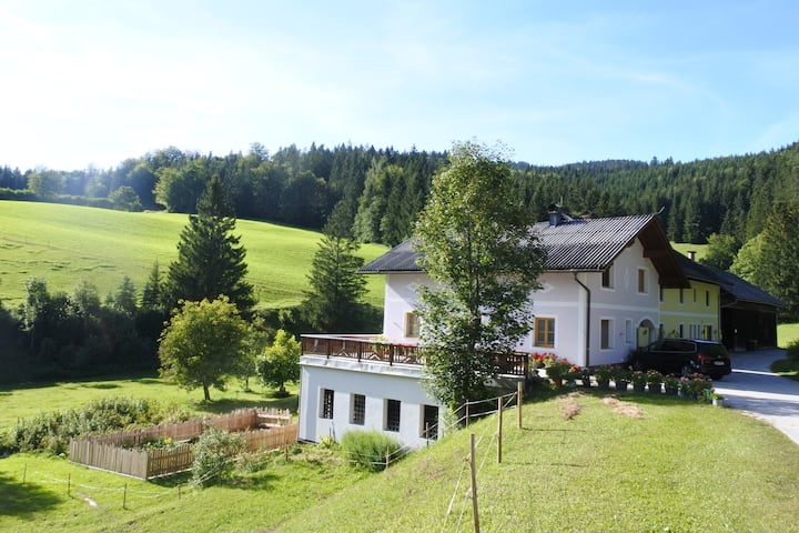 Appartement Morgensonne - Lunz am See