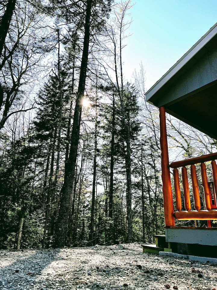 Cabin In The Woods: Misty Moon - Bar Harbor, ME