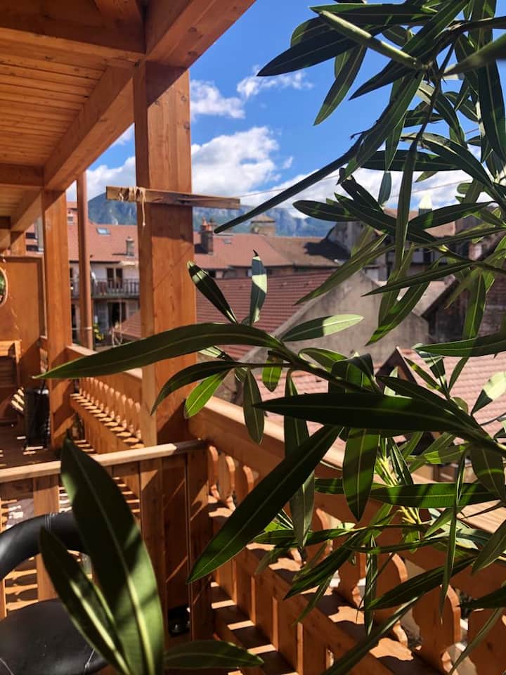 Appartement Type 2 Au Coeur D'annecy - Annecy-le-Vieux