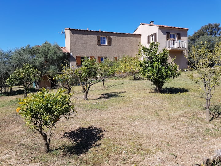 Rdc D’une Maison Individuelle Et Terrain De 2500m² - Lumio