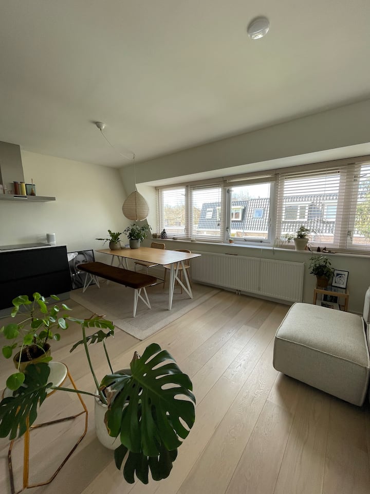 Lichte 2- Kamer Appartement Bovenverdieping +Dak - Haarlem