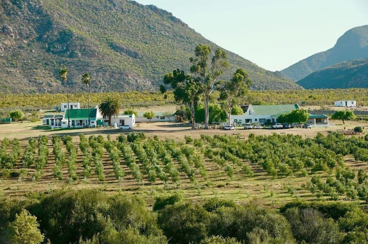 Bronze Grove Farm - River Indlu - Barrydale