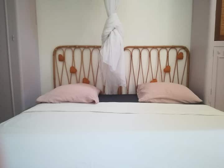 Chambre Dans Villa Centre Cannes - Cannes