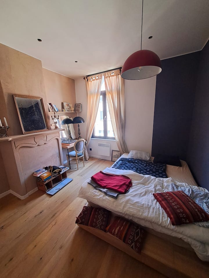 Maison Theresia - Gand