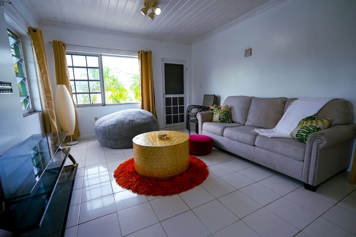 Full 2 Bedroom Apartment Downtown With Balcony - Nassau