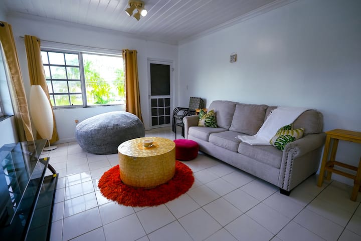 Full 2 Bedroom Apartment Downtown With Balcony - Nassau