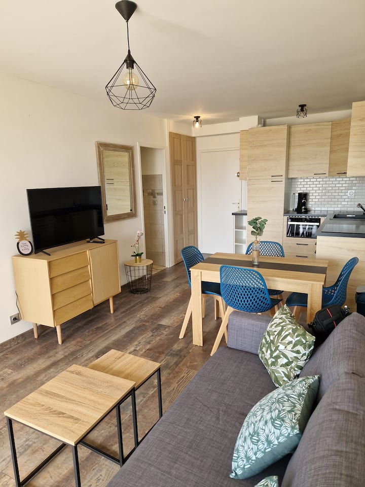Appartement T2 3 éToiles Lavandou Proche Mer - Le Lavandou