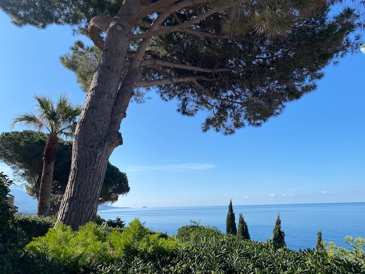 Villa Siviglia - Scalea