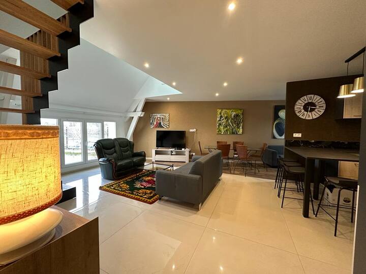 Magnifique Loft Quartier Pasteur - Troyes