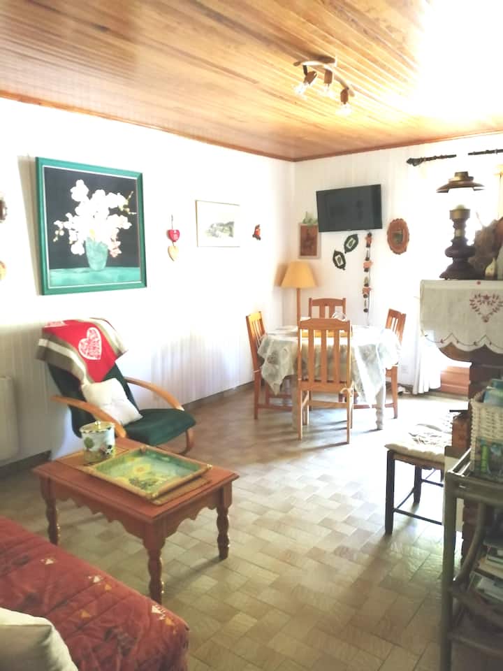 Appartement Duplex 75m2  Balcon - Villard-de-Lans