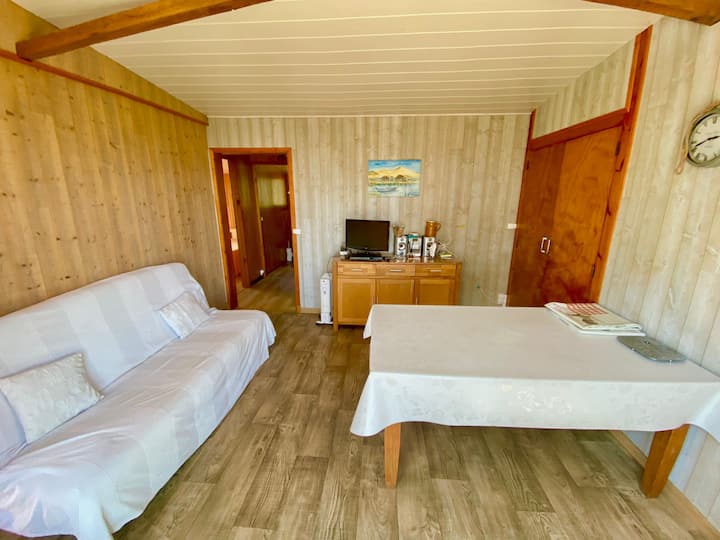 Chalet 6/8 Pers. Vue Sur Le Lac - Biscarrosse