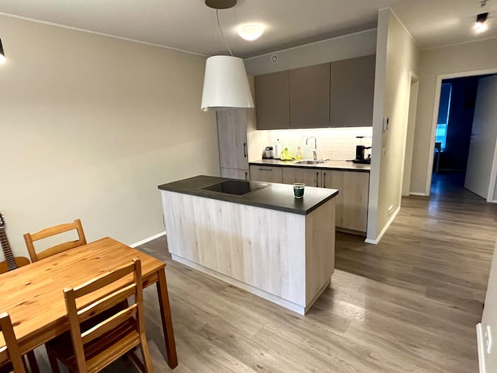 Central Reykjavík Apartment - Reikiavik