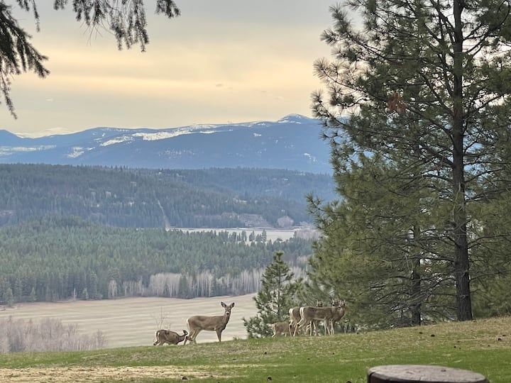 Living Well Lodge With Panoramic Views - Bonners Ferry, ID