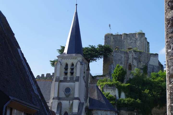 Appartement Au Pied Du Donjon - Montrichard