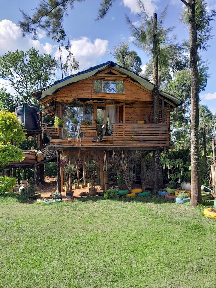 Sakati Tree House - Treehouses for Rent in Nangili, Nangili, Kenya - Airbnb