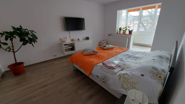 Apartament Spatios In Brasov - Brașov