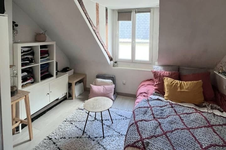 Studio Au Cœur De Paris - Marais - ibis Styles Paris Gare De Lyon TGV