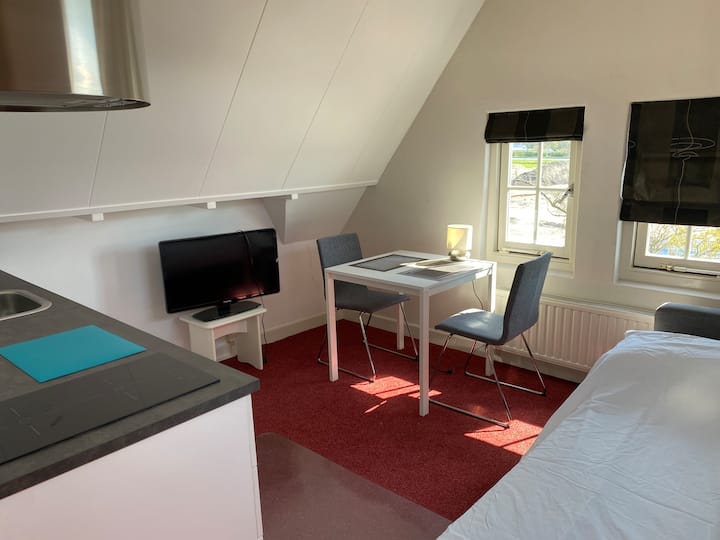 Room04/ Small Studio,bathroom, Kitchen,sofabed - Zoetermeer