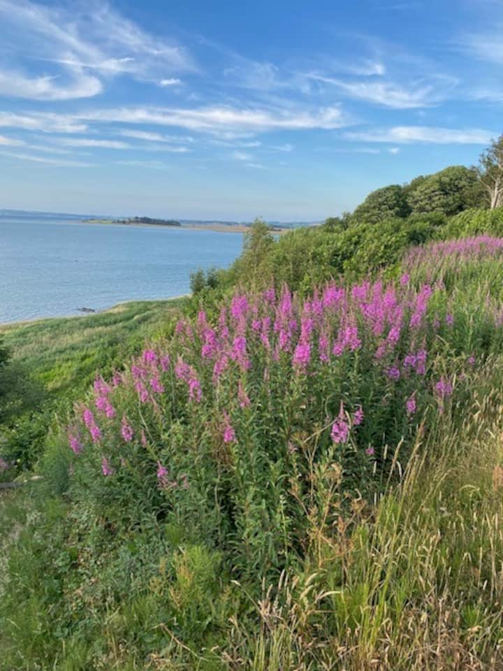 Sommerhus “Solskin” På Mols - Denmark