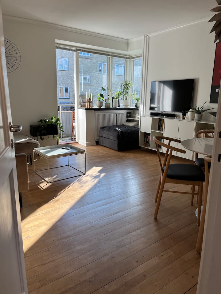 Hyggelig Og Hundevenlig 2-værelset Lejlighed - Copenhagen