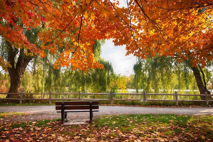 Unionville Toogood Pond Just Around The Corner! - Markham