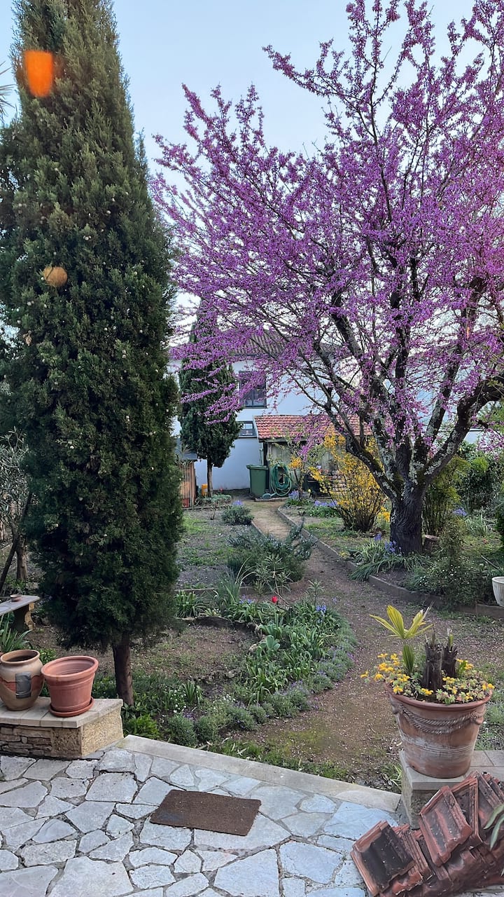 Maison Avec Jardin - Mont-de-Marsan