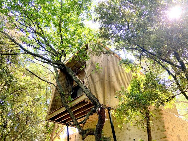 "La Cabane Du Mas" - Adult Only - Argelès-sur-Mer