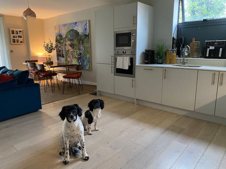 Stunning 2 Bed Flat Near Wimbledon/richmond Park - Epsom