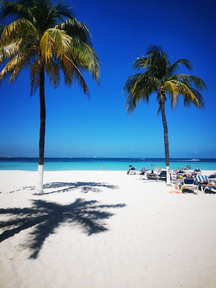 Wonderful Beachfront Condo In Cancun Hotel Zone - Cancún