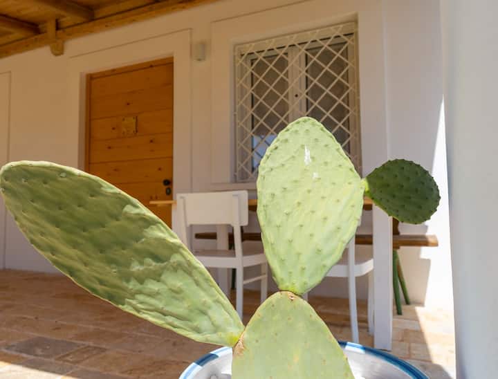 La Casetta Tra Gli Ulivi - Mary - Ceglie Messapica