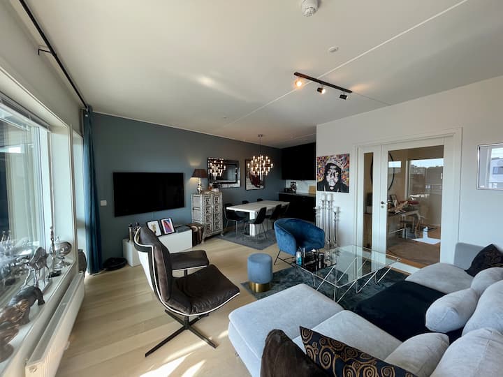 Central, Spacious Apartment With All Facilities - Oslo