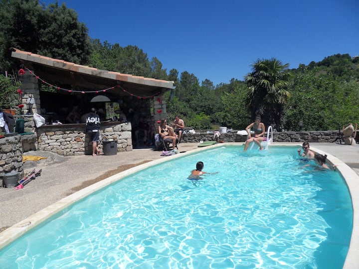 Sur Les Traces Des Dinosaures - Aubenas