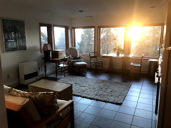Hillside Get Away Apartment - Anchorage, AK