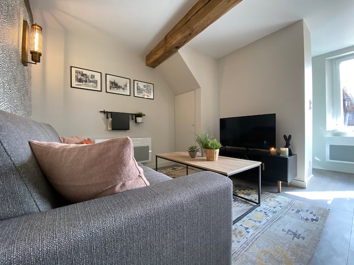 Logement Familial Pour 10 - Troyes