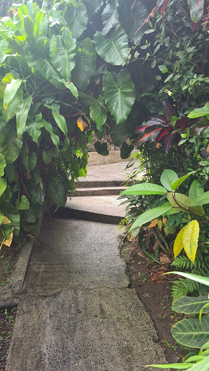 Valley Nature!
Bamboo & Flowers - Dominica