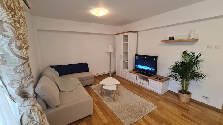 Vs Central Apartment - Aeropuerto de Bucarest Henri Coandă (OTP)