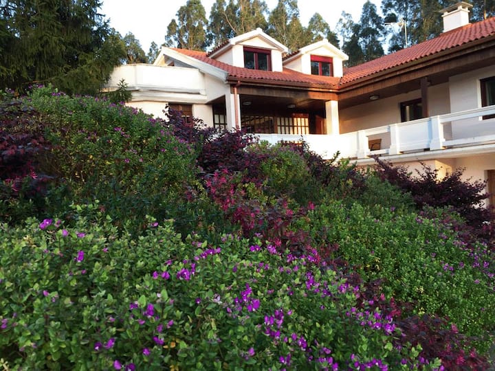 Casa De Ensueño En Bosque De Costa - La Coruña